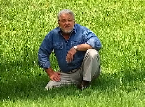 The Right Spring Lawn Care Sets You Up For A Healthy Yard All Season ...